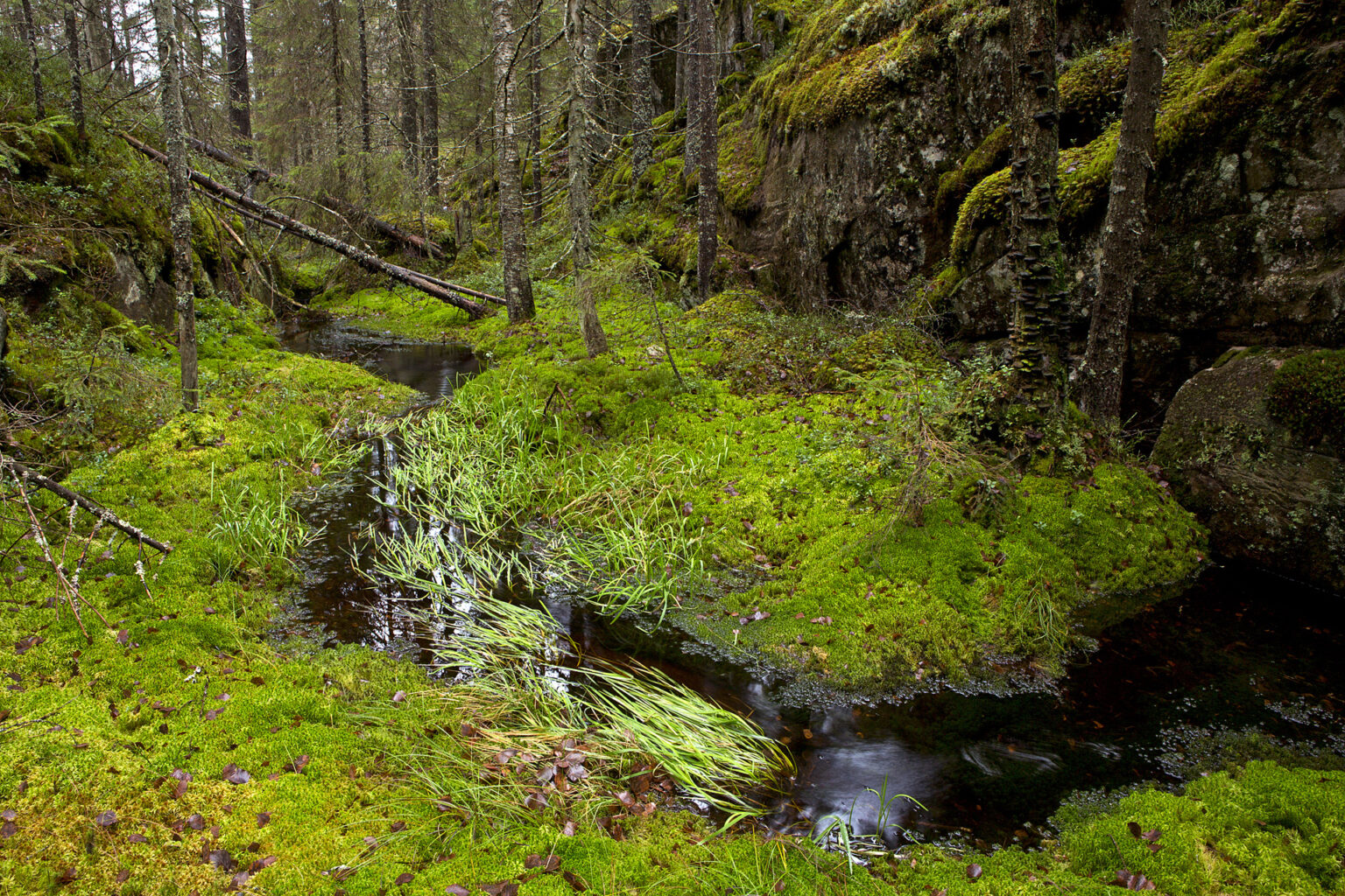 Oslos byråd går klart inn for nasjonalparken i Østmarka